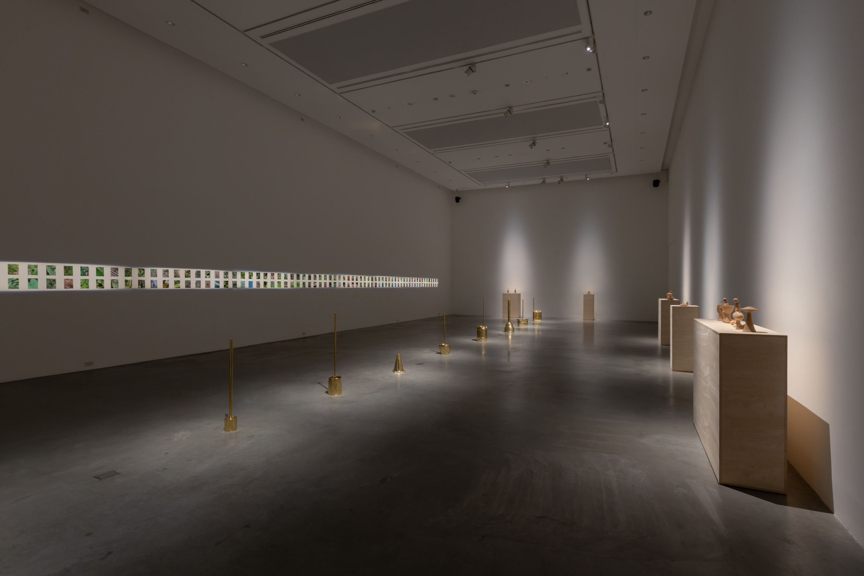 Dusadee Huntrakul Doubles Down on Looking | Ocula